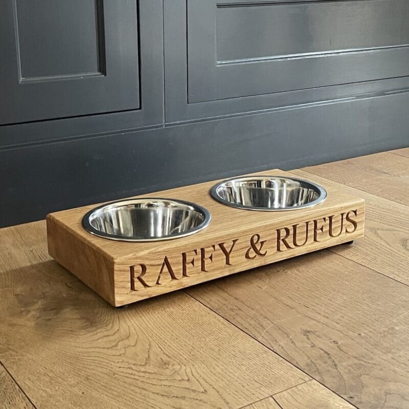 Double Dog Bowls | View Options | MakeMeSomethingSpecial.com