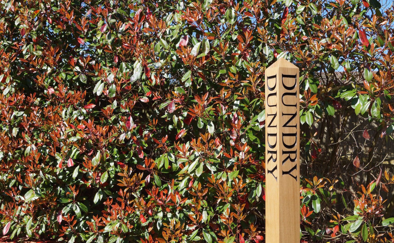 Engraved Oak Sign Posts | MakeMeSomethingSpecial.com