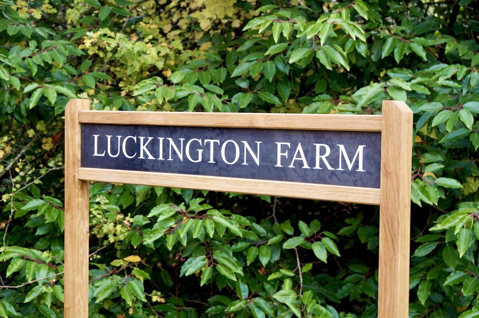 Engraved Slate Sign on Posts | MakeMeSomethingSpecial.com